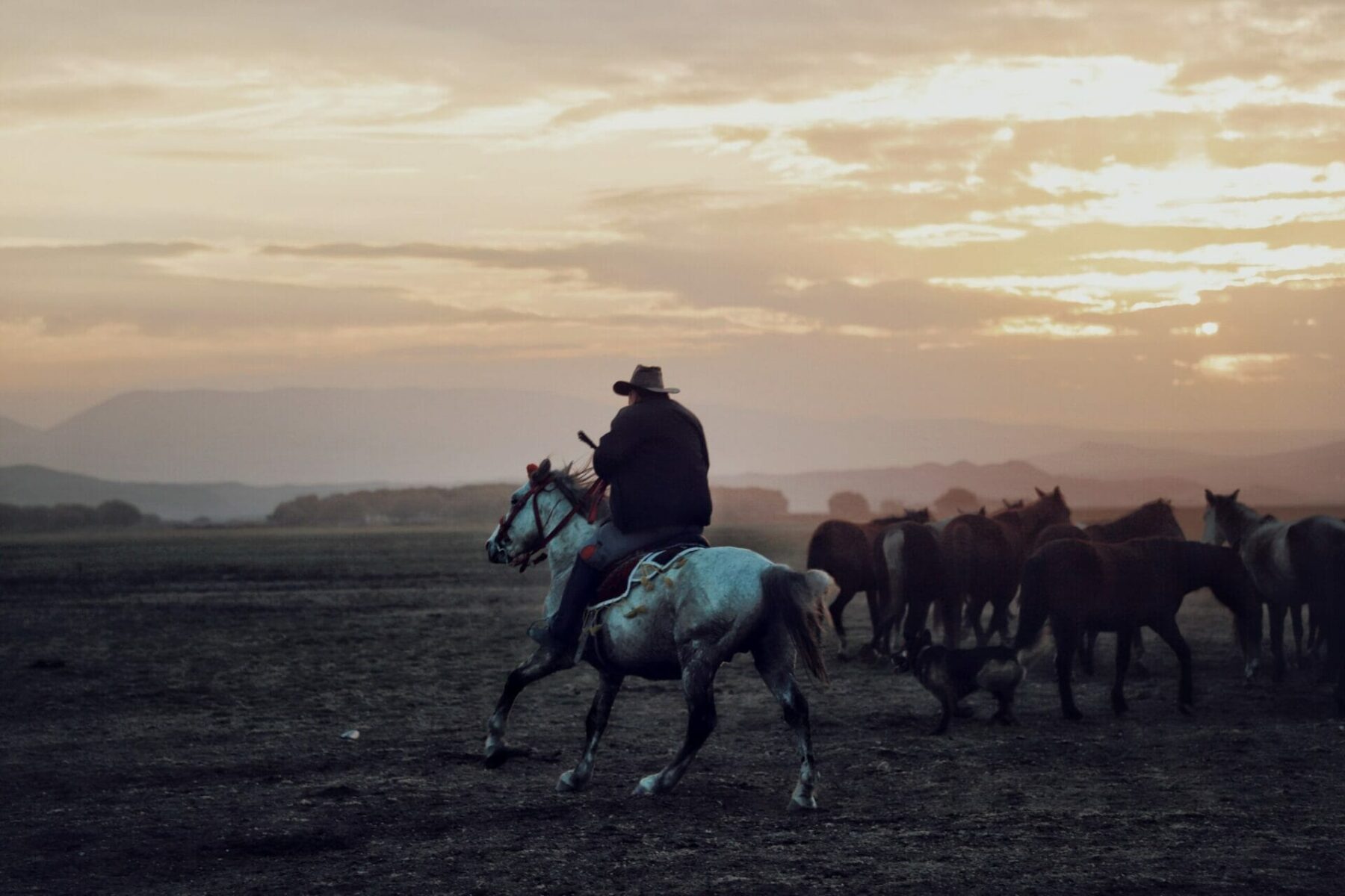I segreti di Brokeback Mountain | Un amore che non si osa raccontare ...